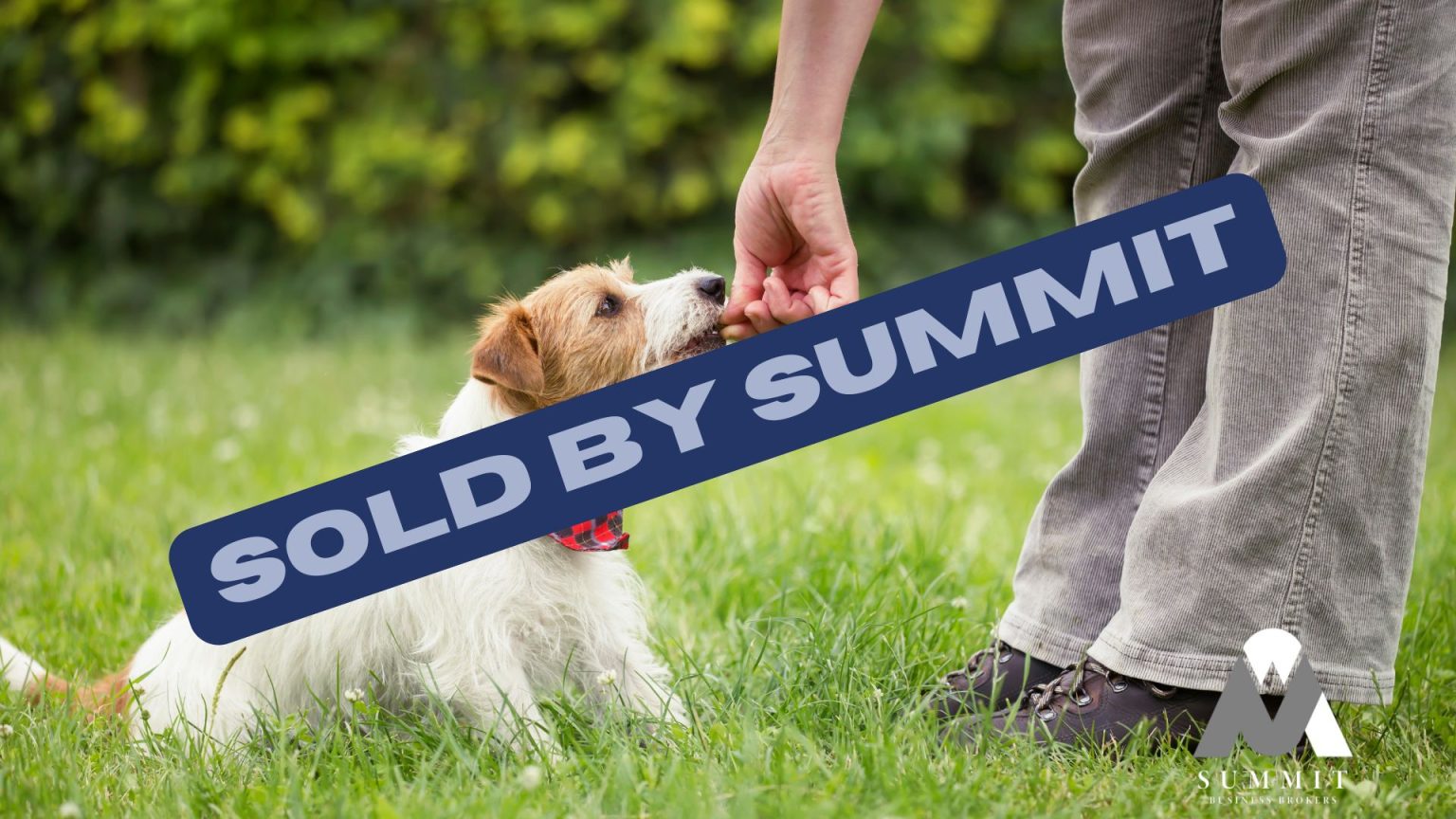 Summit Business Brokers | Canberra Business Brokers